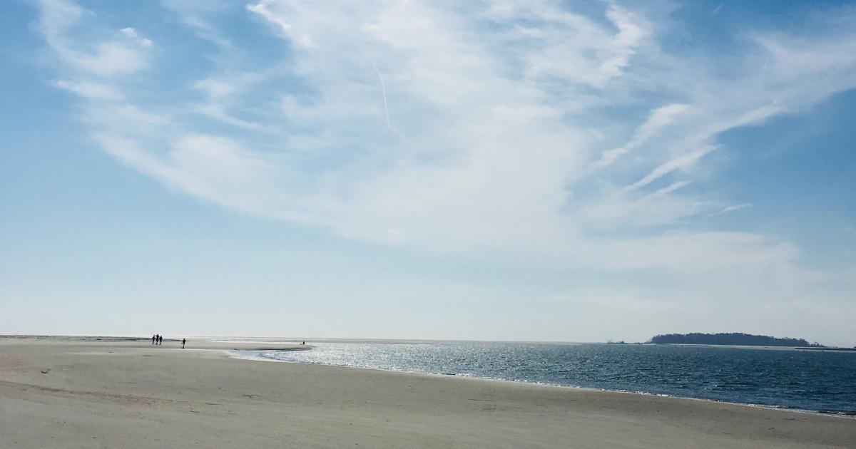 Guide to Back River Beach | VisitTybee.com